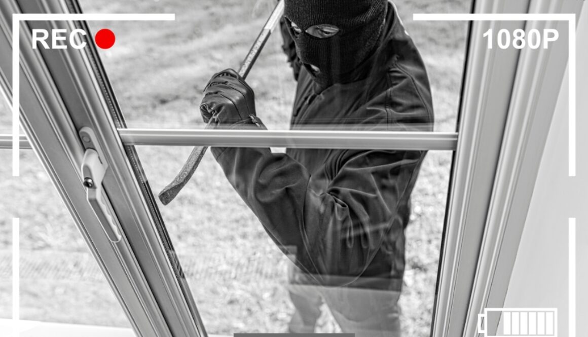 Learning And Understanding The Different Types Of Theft